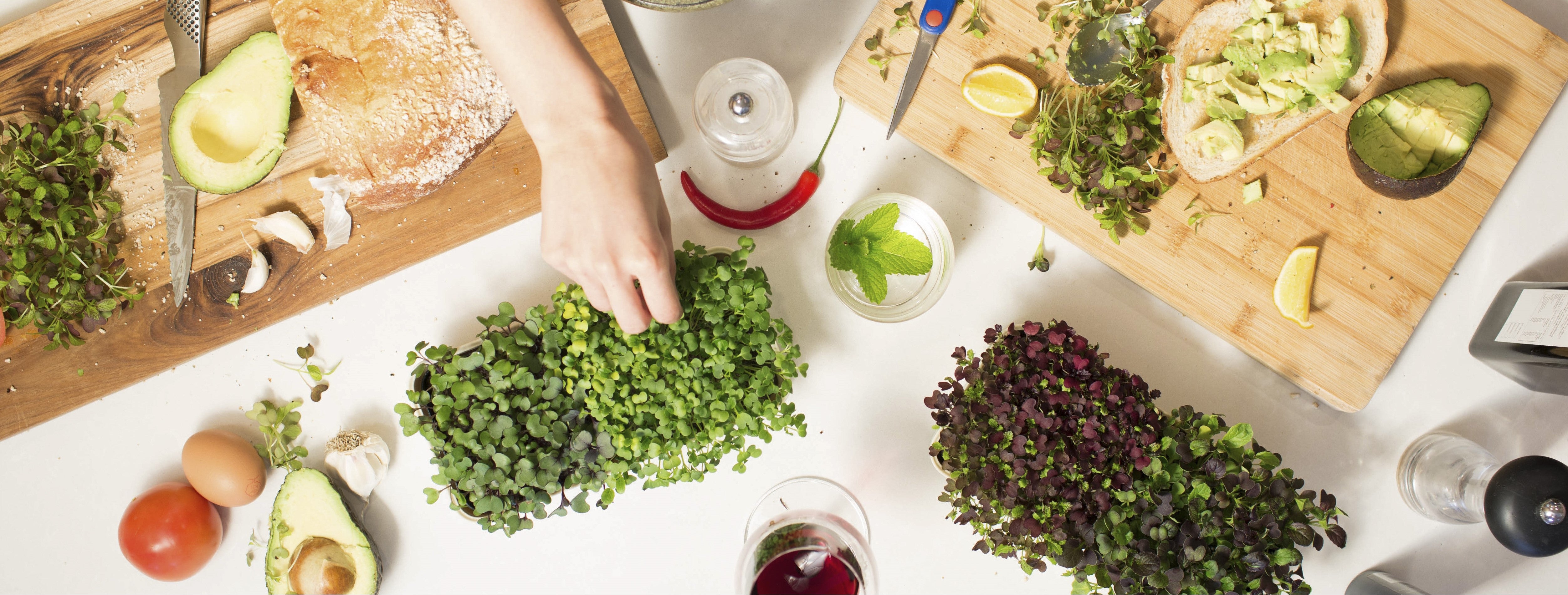 7 ways to use microgreens – micropod