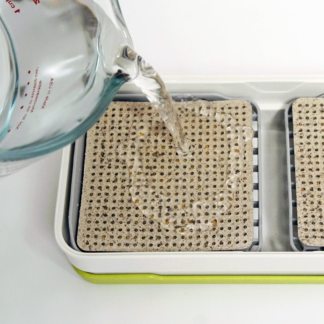 Grow microgreens at home with our soilless kits – micropod