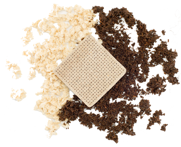 Grow microgreens at home with our soilless kits – micropod