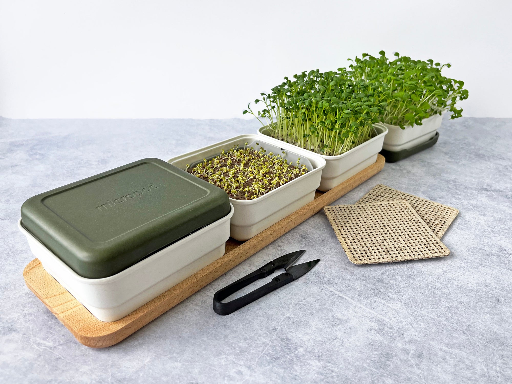 Continuous Grow Kit Trio – micropod