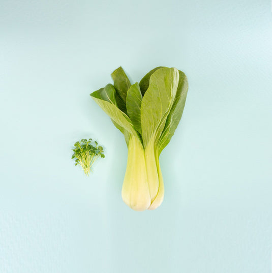 Grow microgreens at home with our soilless kits – micropod