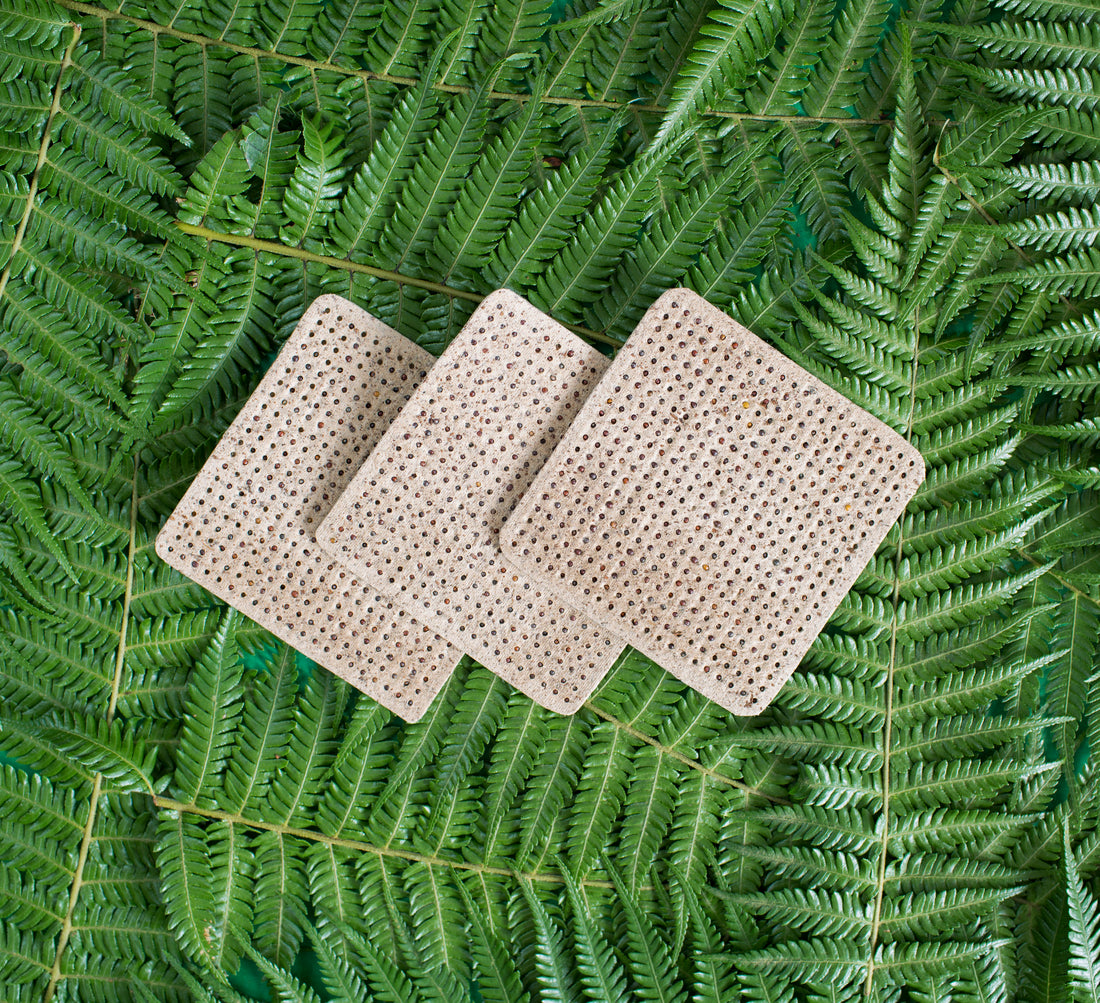 Grow microgreens at home with our soilless kits – micropod