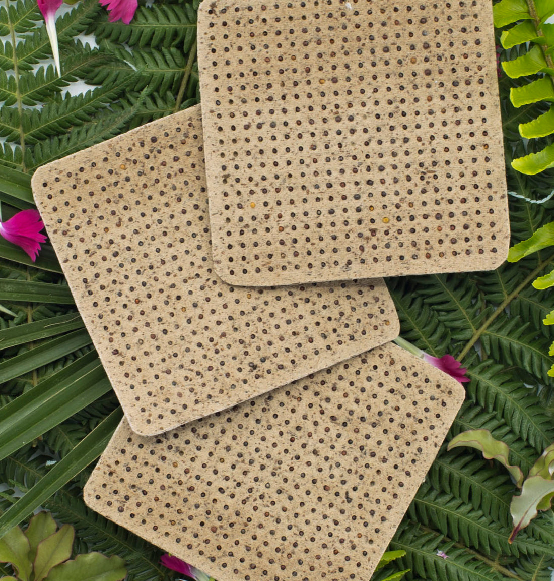 Grow microgreens at home with our soilless kits – micropod