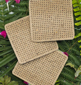 Grow microgreens at home with our soilless kits – micropod