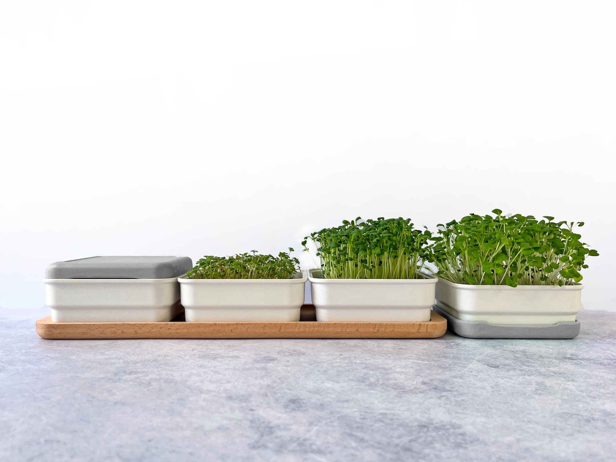 CONTINUOUS GROW KIT – micropod