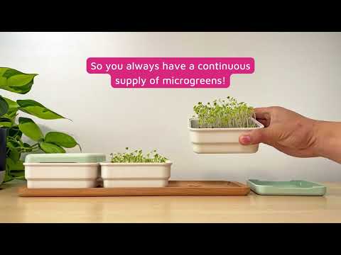 CONTINUOUS GROW KIT – micropod